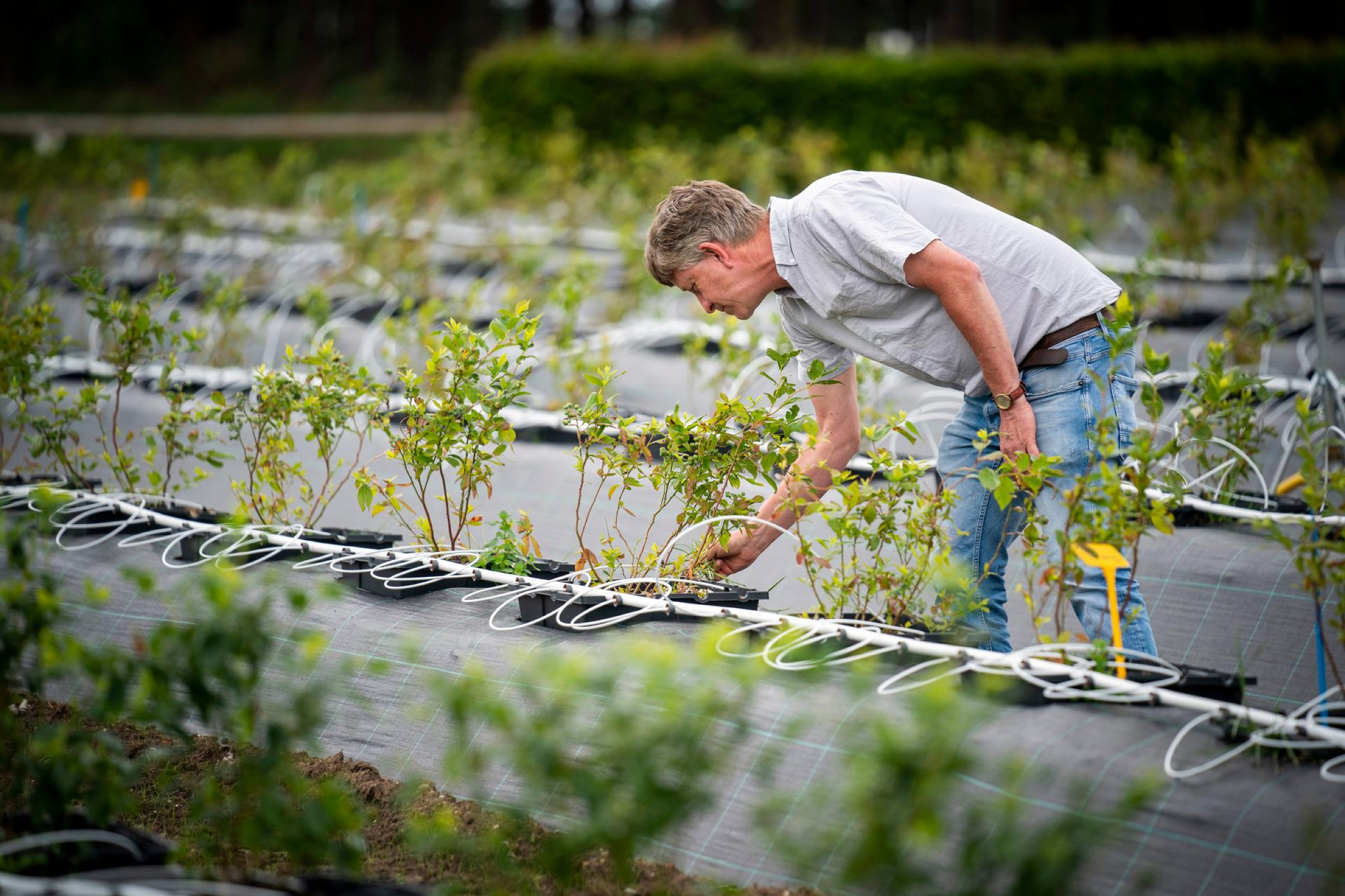 Netherlands Enterprise Agency | RVO.nl