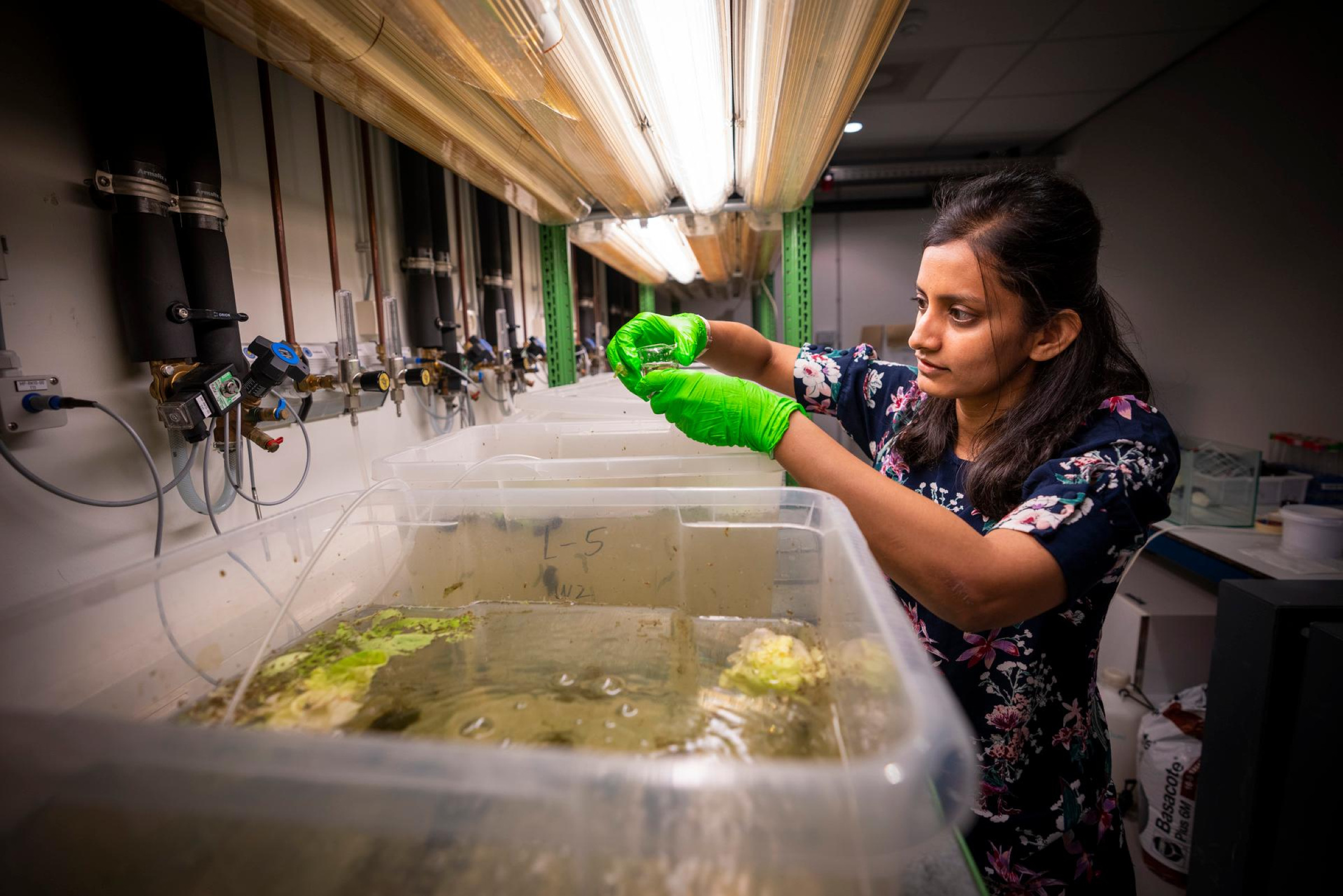 Netherlands Enterprise Agency | RVO.nl